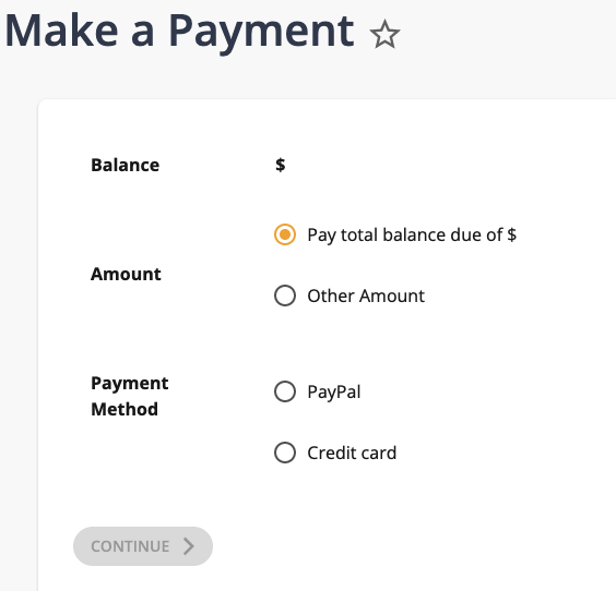 Making a One-Time Payment | Liquid Web