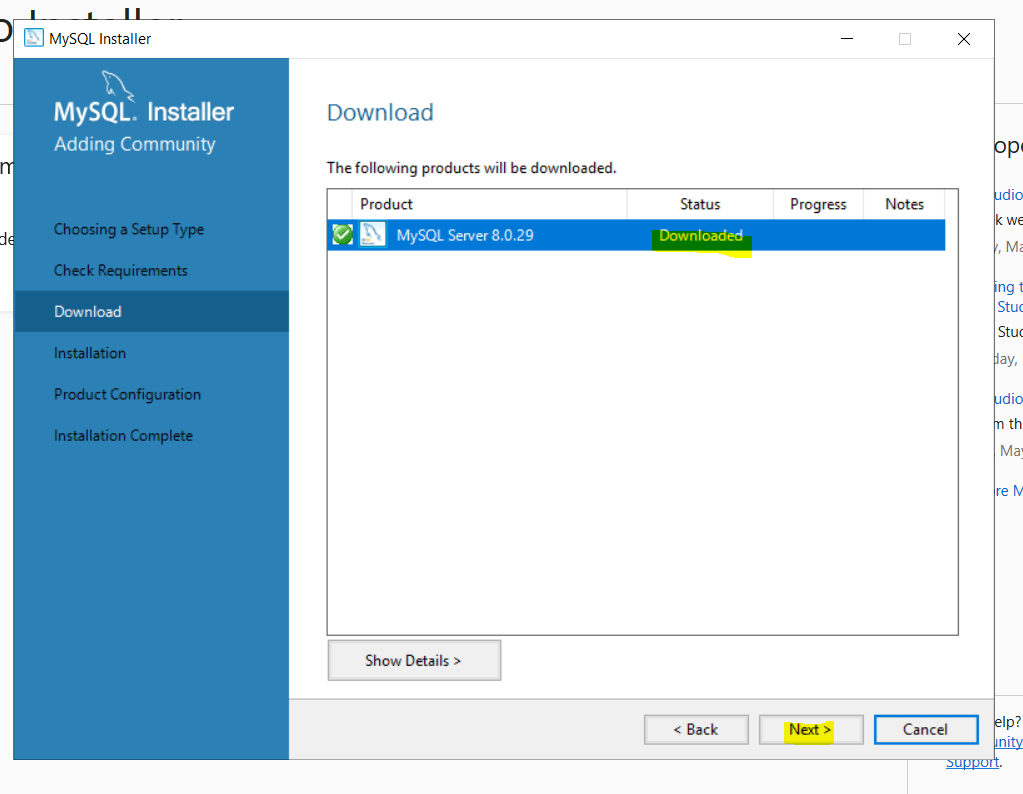 Complete Walkthrough: Installing MySQL on Windows Server | Liquid Web