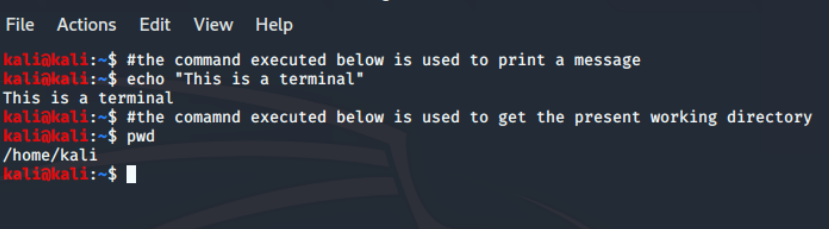 What is Kali Linux? | Liquid Web