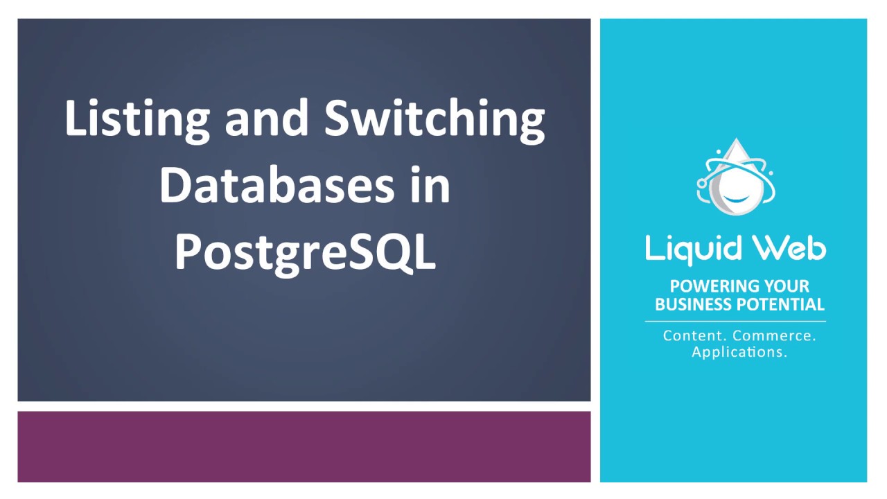List Of Databases In Postgresql How To Switch And Navigate Liquid Web