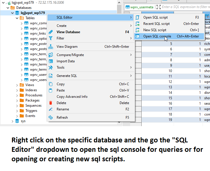 Dbeaver Tutorial For Postgresql Sqlite Mysql And Mariadb Liquid Web