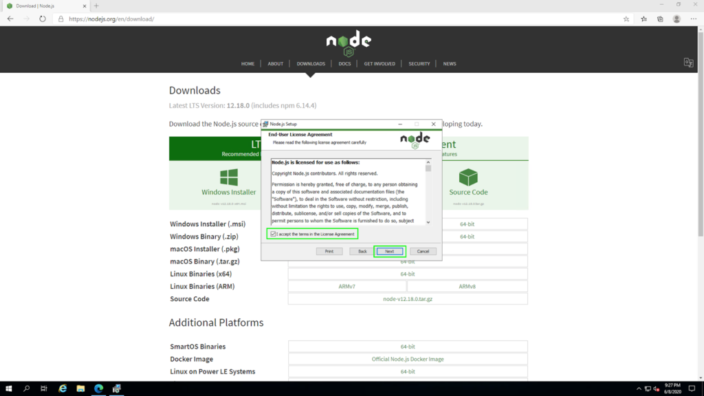 Installing Node.js on Windows Servers | Liquid Web