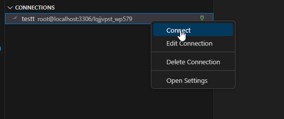 How To Connect To Mysqlmariadb Using Sqltools In Vscode Liquid Web