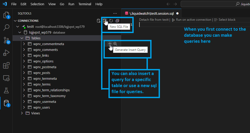 How To Connect To Mysqlmariadb Using Sqltools In Vscode Liquid Web
