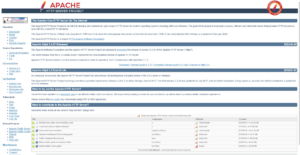 NGINX vs Apache: Picking Best Web Server for Your Business