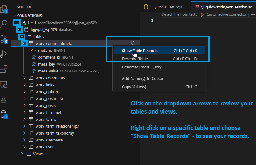 How to Connect to MySQL/MariaDB Using SQLTools in VSCode | Liquid Web